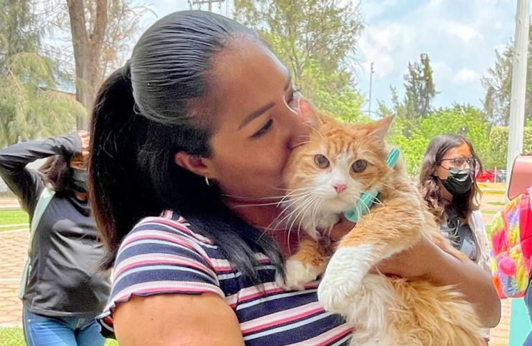 Explican el significado de la greca escalonada de Mitla | PressLibre